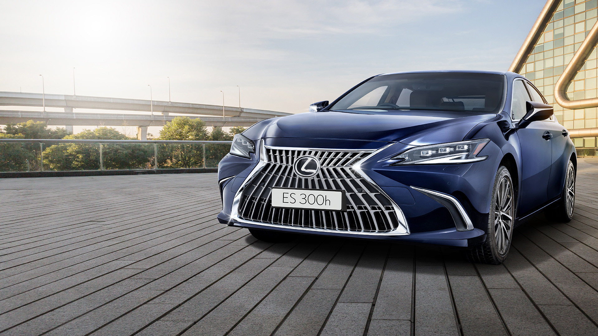 Lexus India | Luxury & Hybrid Cars | Experience Amazing